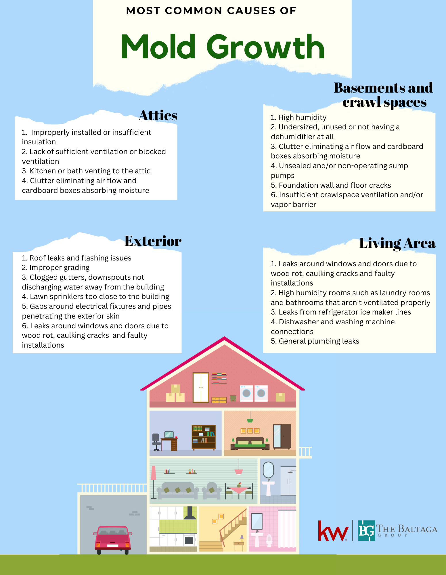 MOST COMMON CAUSES OF MOLD GROWTH – Baltaga Group